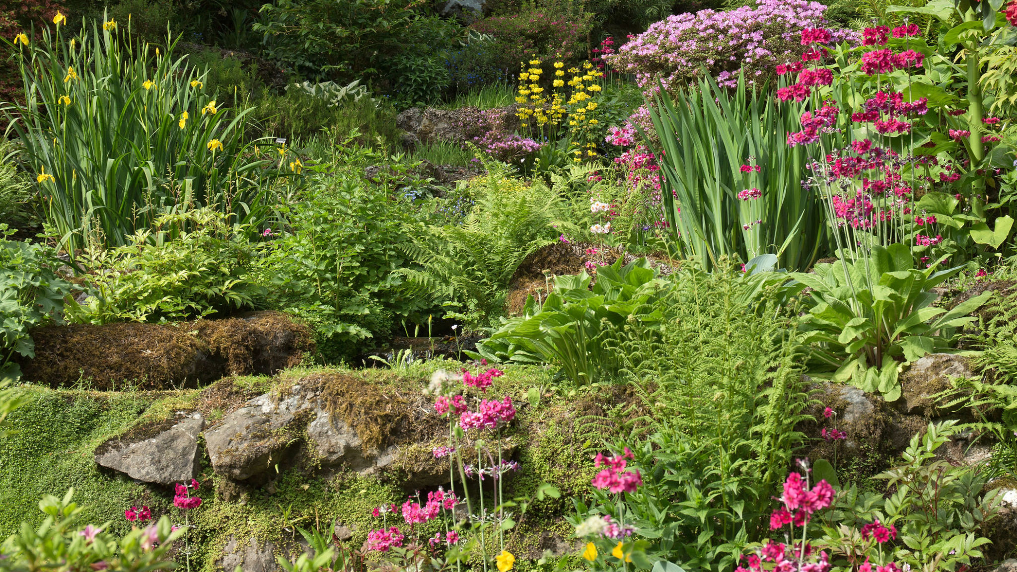 Rock Garden Hd Photo & Art Print Abstract Zen Rock Garden: Tranquil