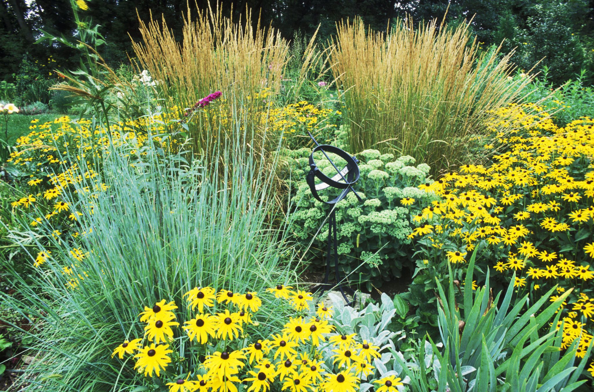 Dwarf Ornamental Grasses Flower Beds Ornamental Grasses For Small